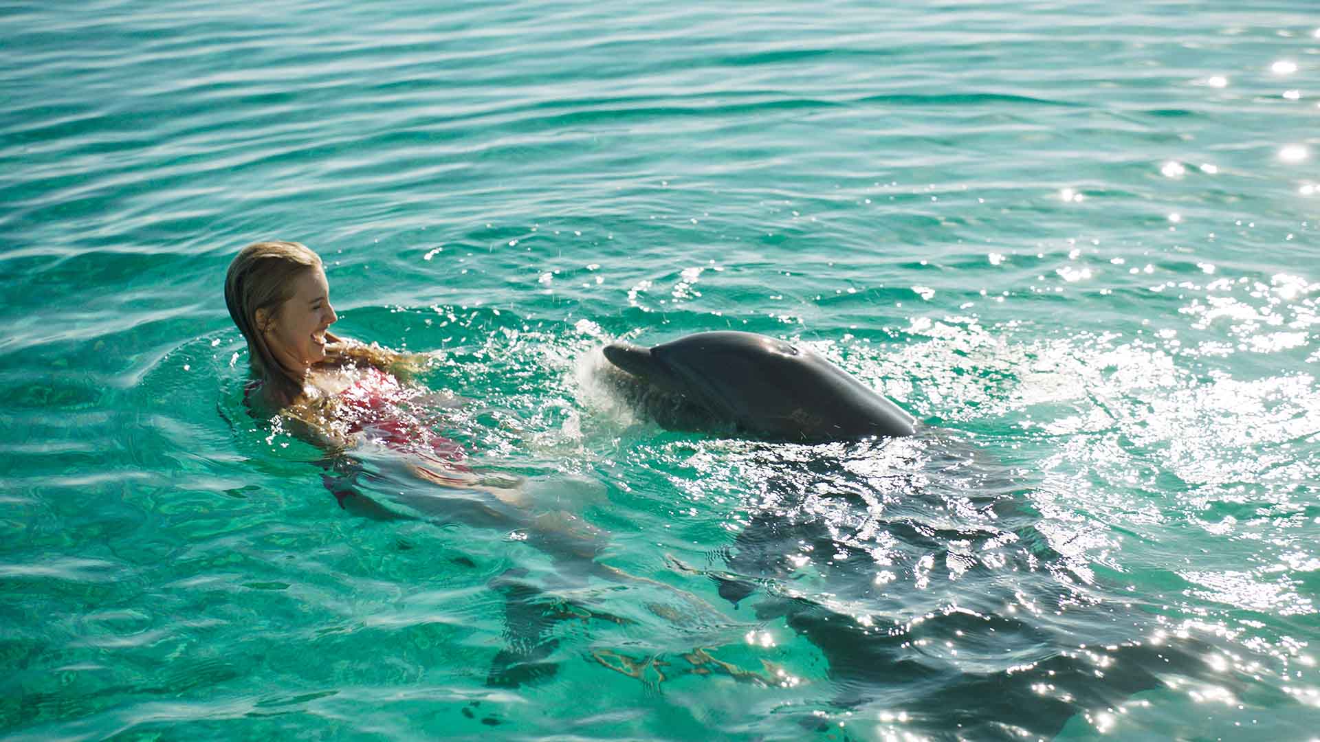 Dolphin Island - Excitetours